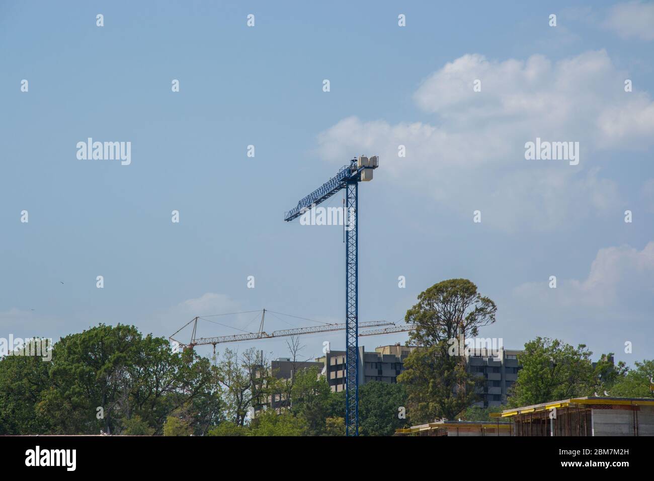 Industrial construction, cranes and building at the city, trees and ...