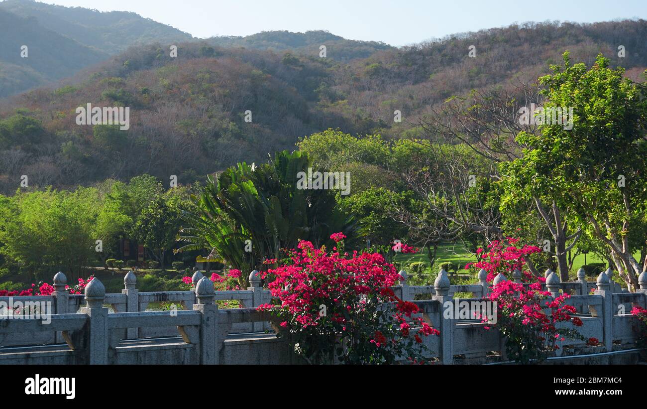 Viewing platform at mountaintop, in chongqing nanshan. Tropical garden ...