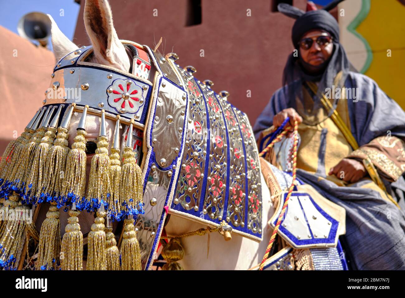 Nobleman rider dressed in a colourful outfit mounting an embellished ...