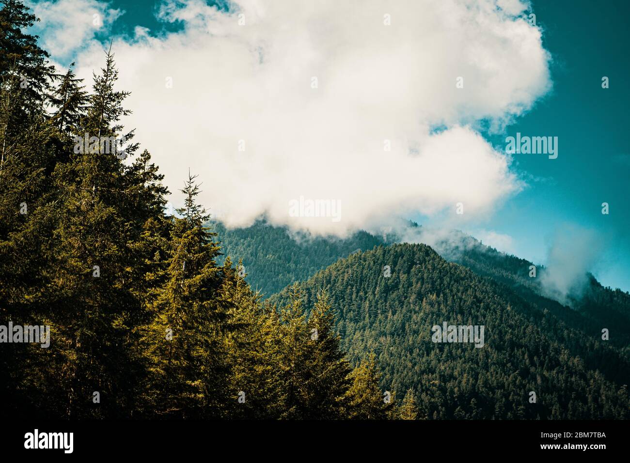 landscape near Seattle Stock Photo - Alamy