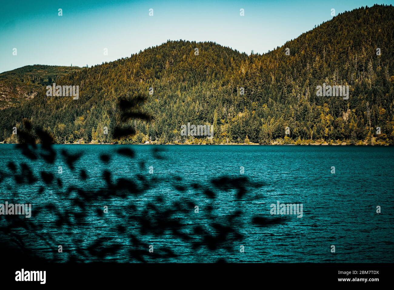 Seattle mountain hi-res stock photography and images - Alamy