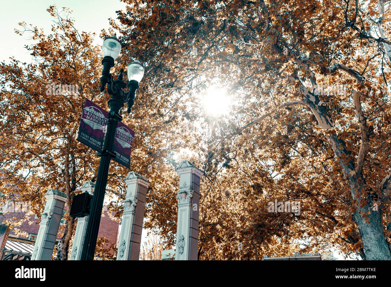 fall in southern California Stock Photo - Alamy