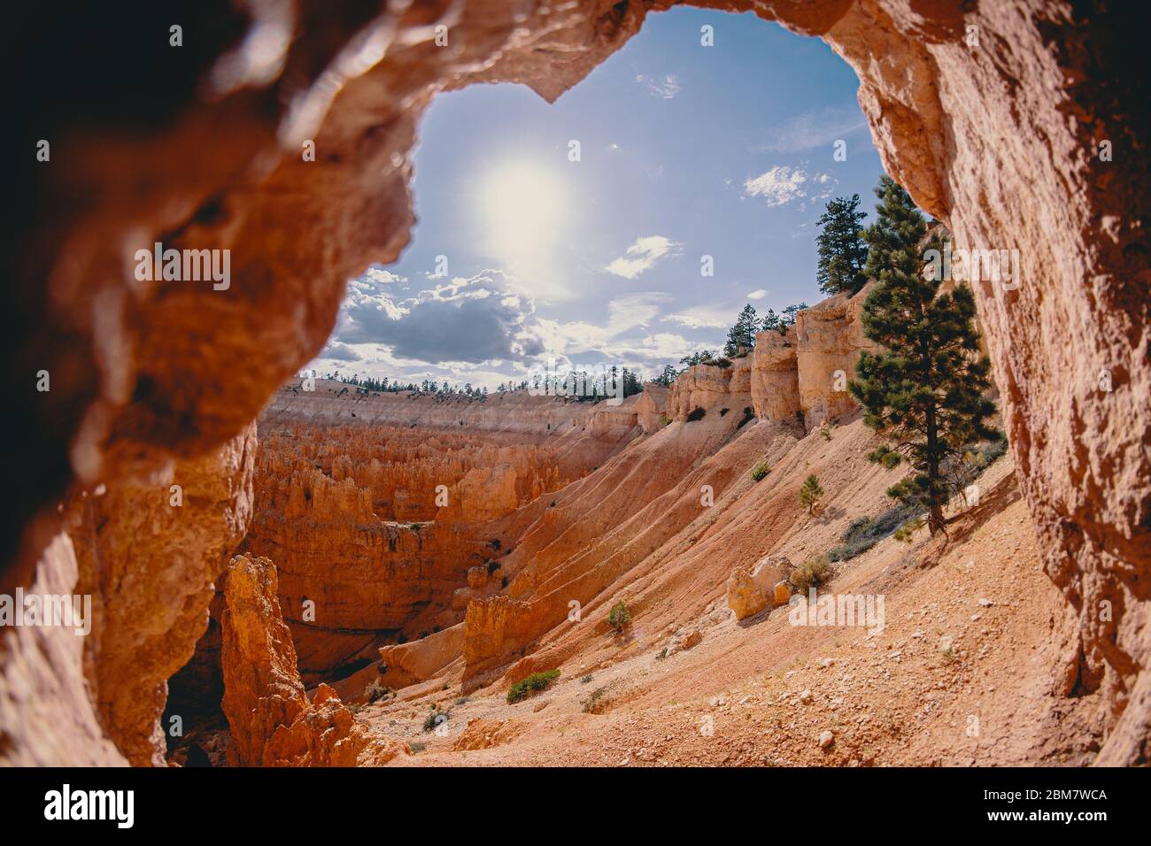 landscape in Bryce Canyon Stock Photo - Alamy