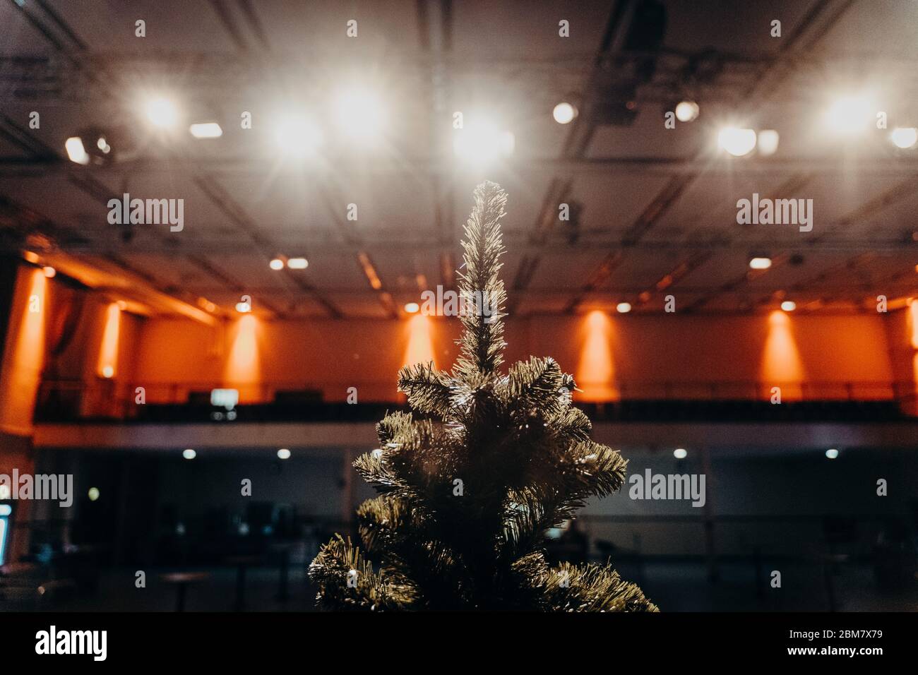christmas tree in concert hall Stock Photo - Alamy
