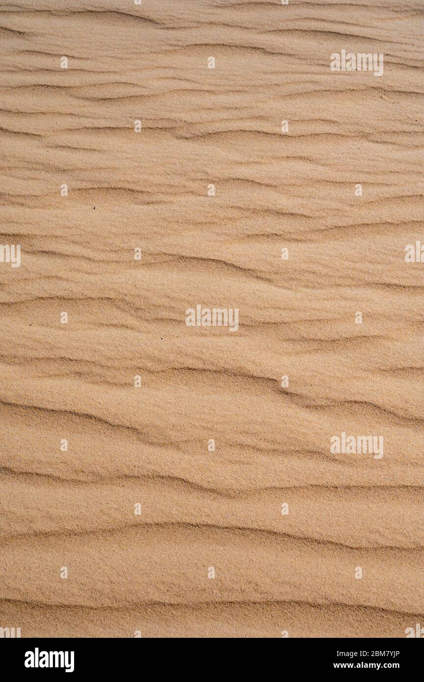 Background with beige sand and sandy waves texture Stock Photo - Alamy