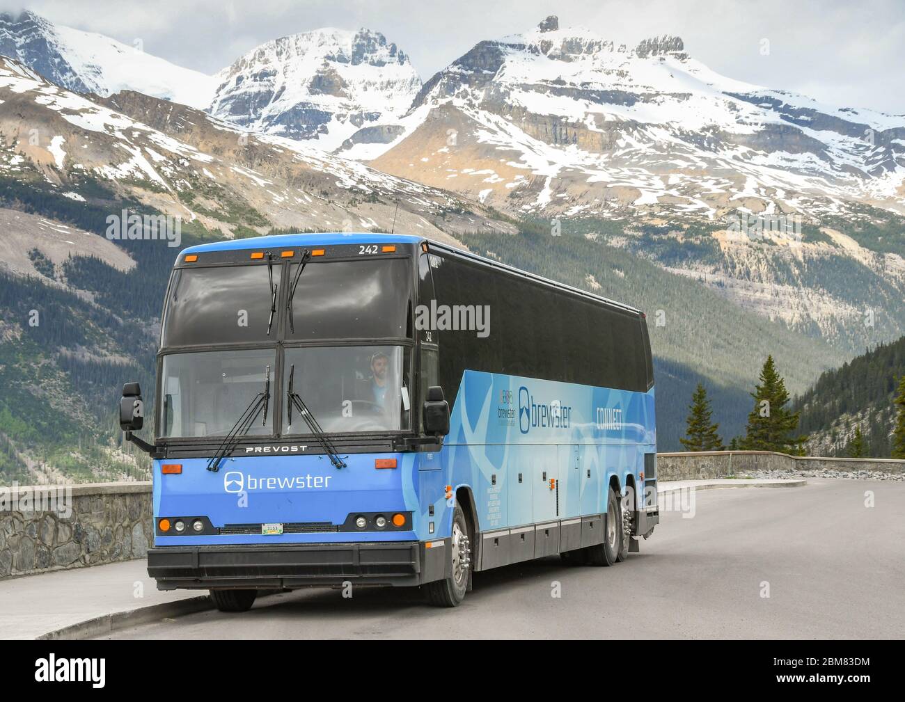 COLUMBIA ICEFIELD, ALBERTA, CANADA - JUNE 2018: Shuttle bus in the ...