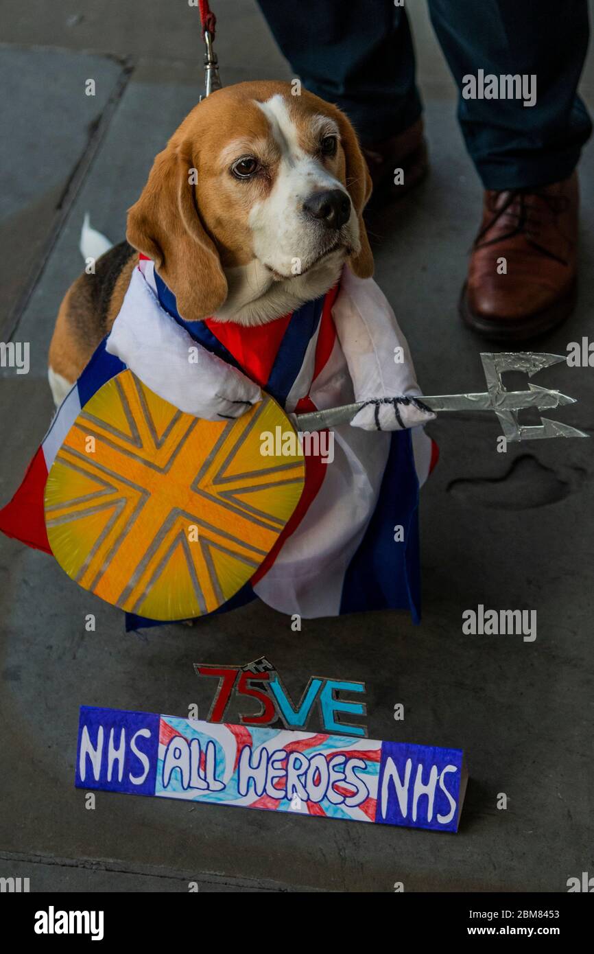 Clapping dog hi-res stock photography and images - Alamy