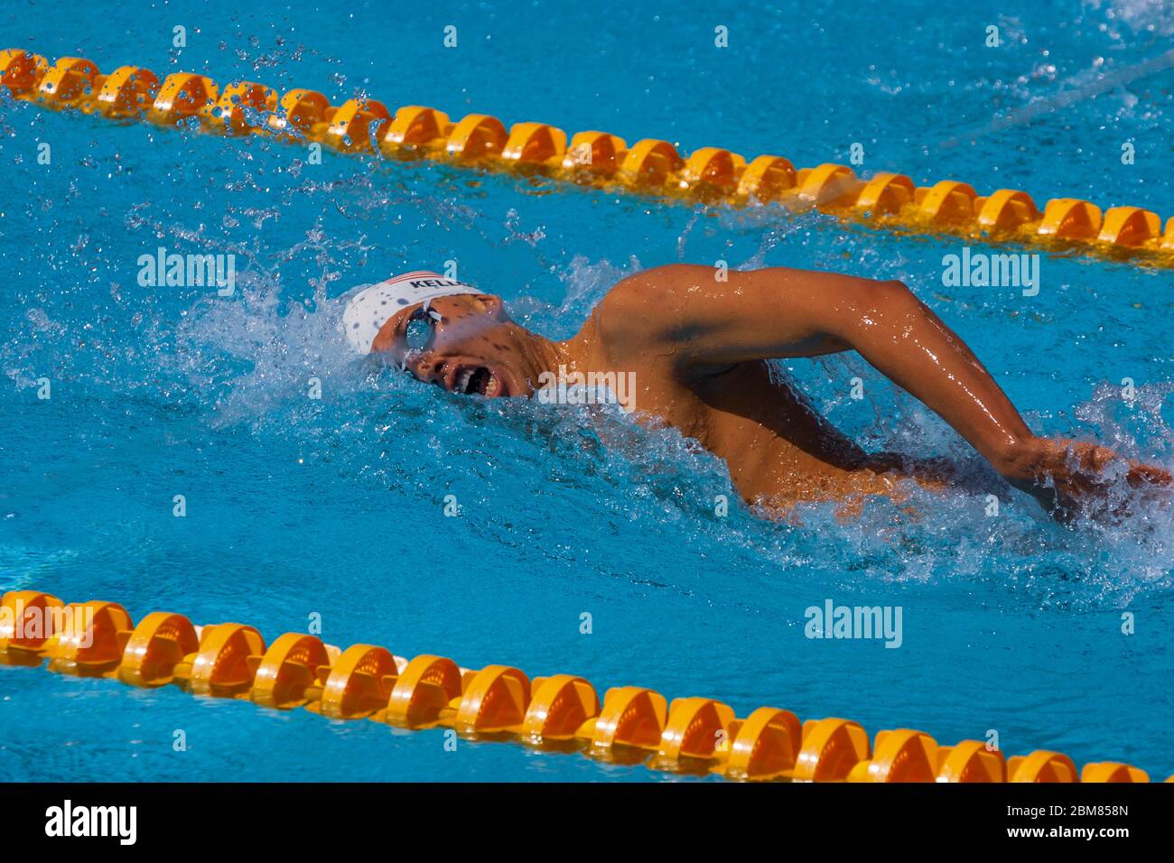 Olympic Swimming Freestyle