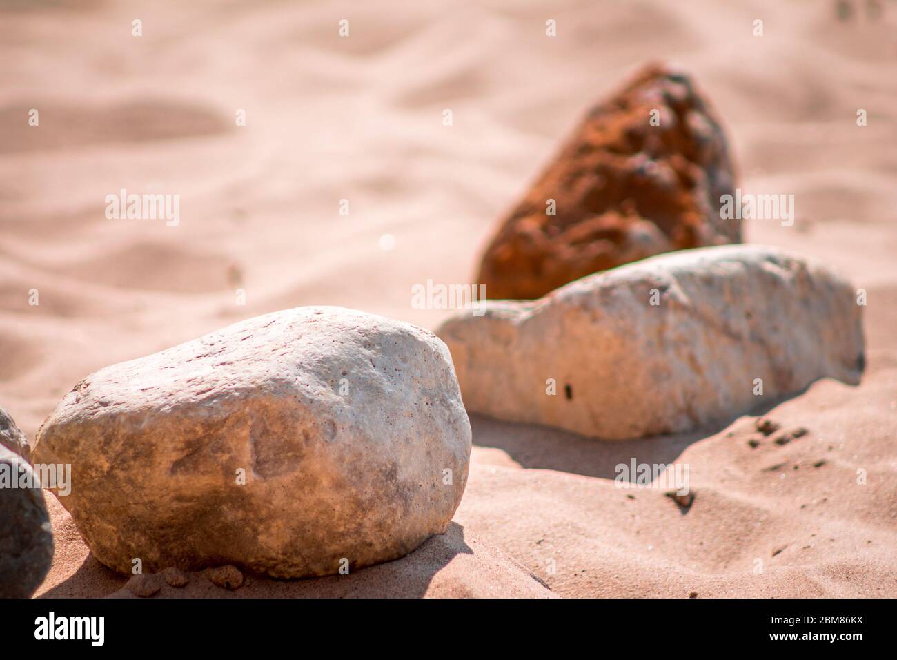 large rocks lined up in the sand at a beach Stock Photo - Alamy