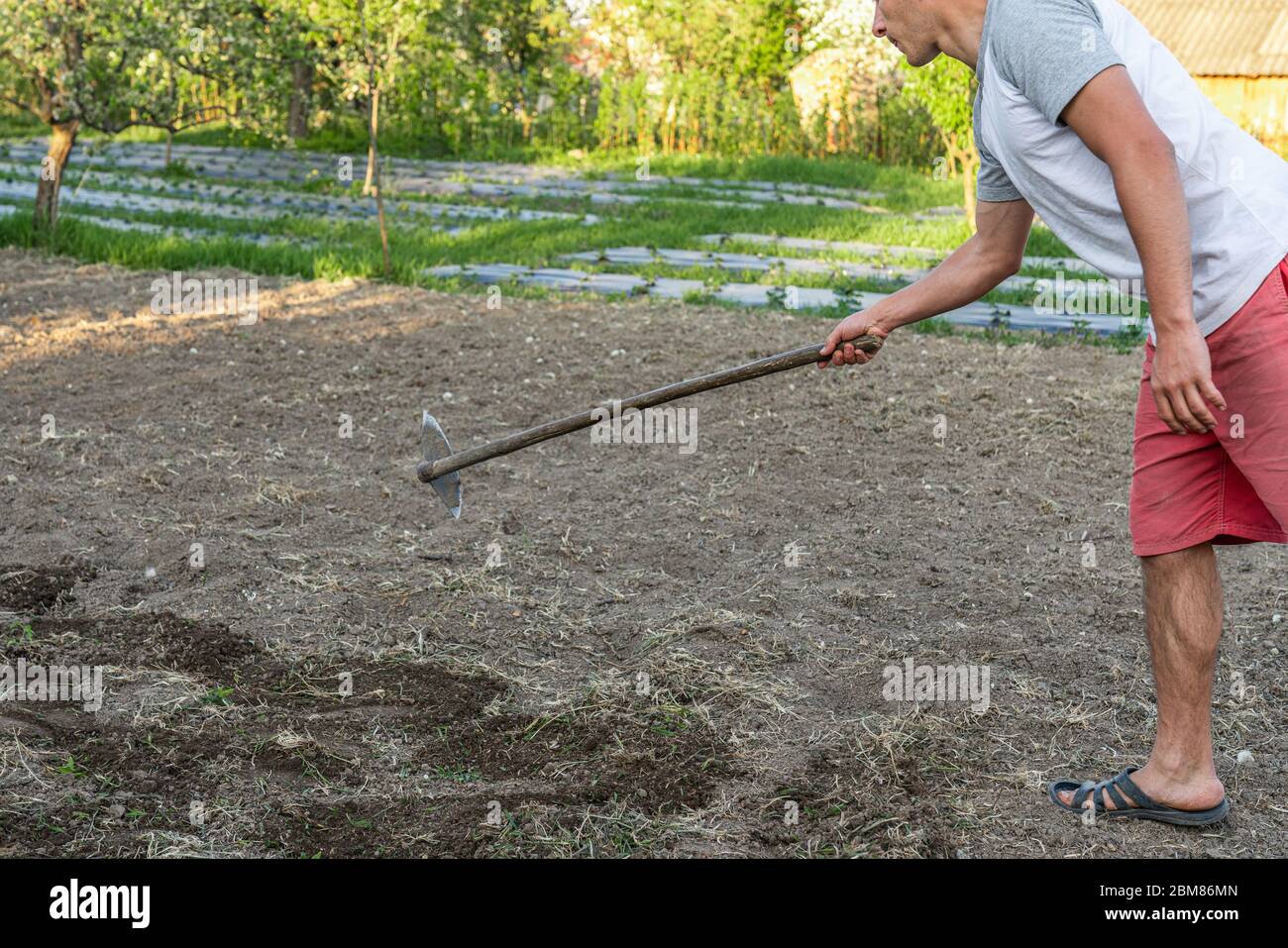 Farmer in his garden with hoe hi-res stock photography and images - Alamy