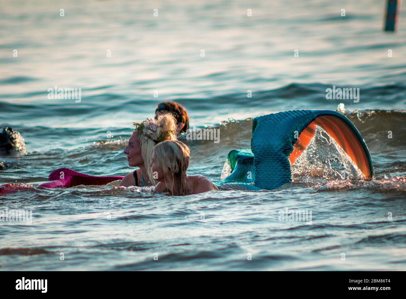 mermaids swimming in Lake Michigan Stock Photo - Alamy
