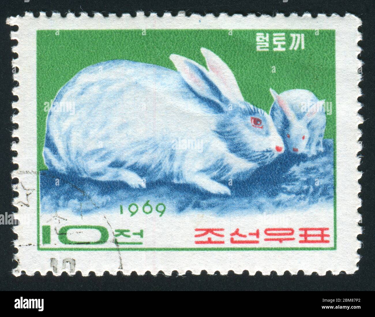 NORTH KOREA - CIRCA 1969: Two white rabbits play, circa 1969 Stock ...