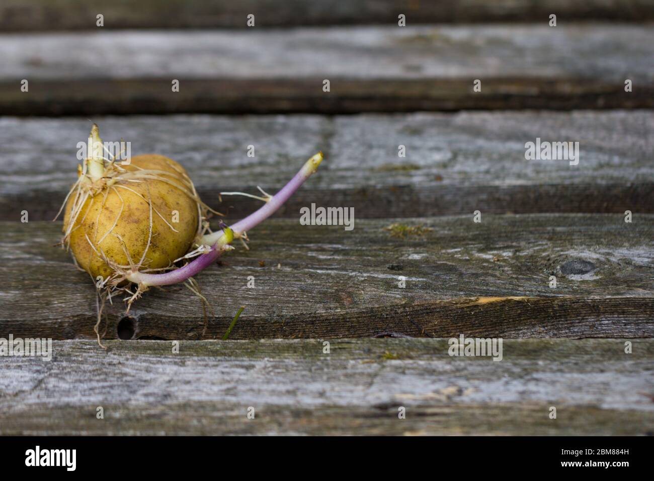 Horizontal composition orientation hi-res stock photography and images ...