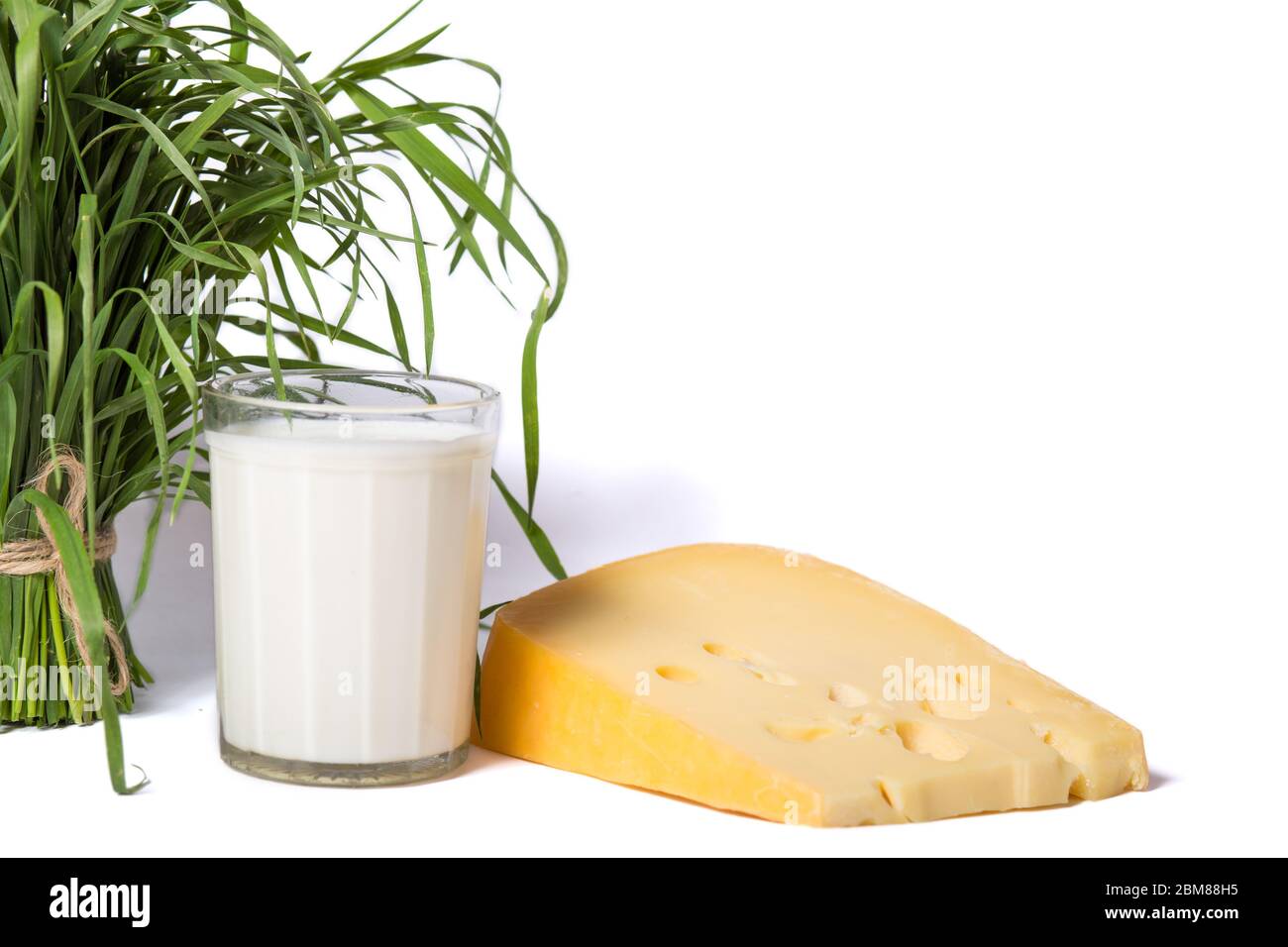 ingredients and ingredients for the production of milk and cheese ...