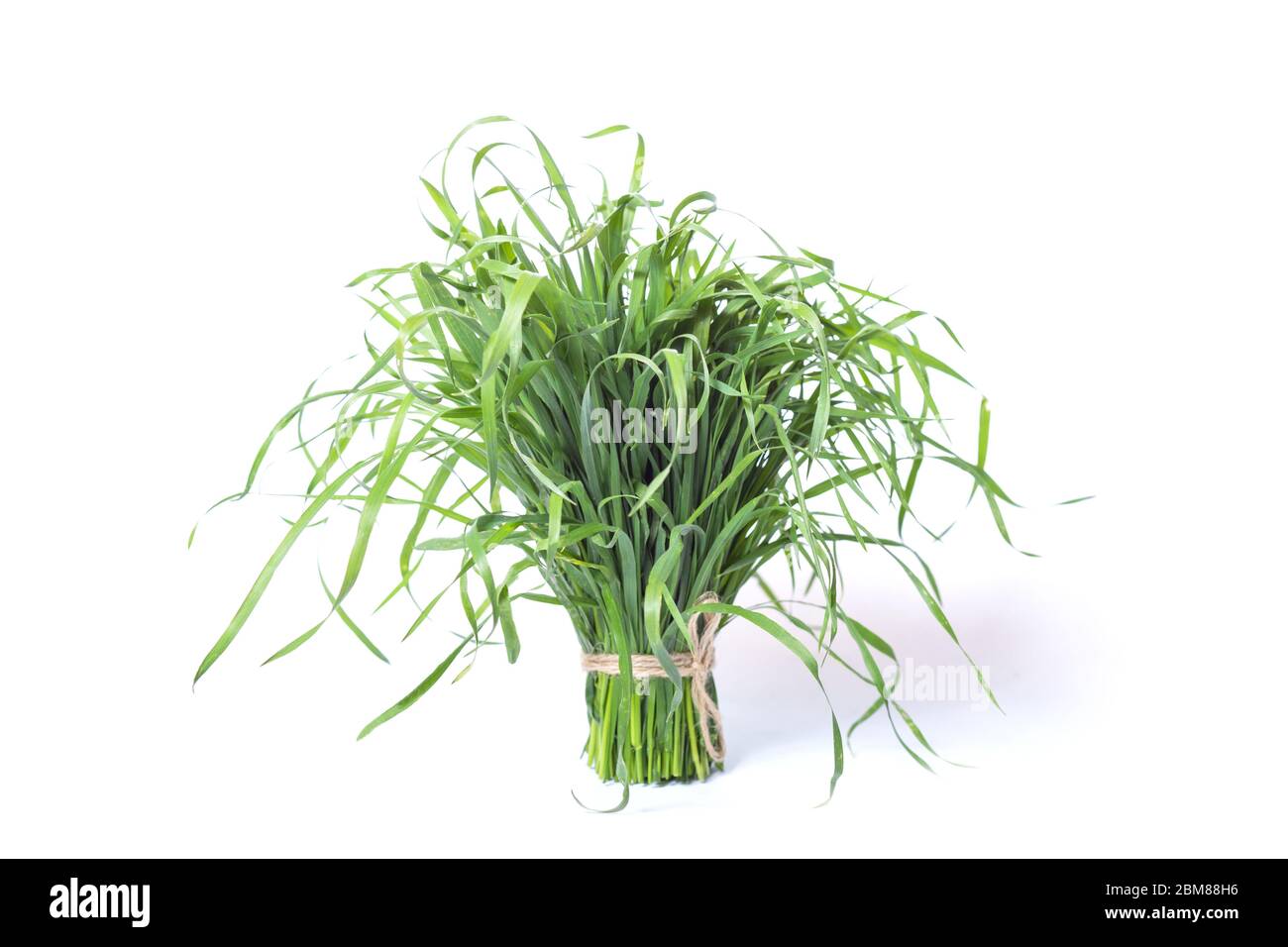 A bunch of green grass isolated on a white background Stock Photo - Alamy
