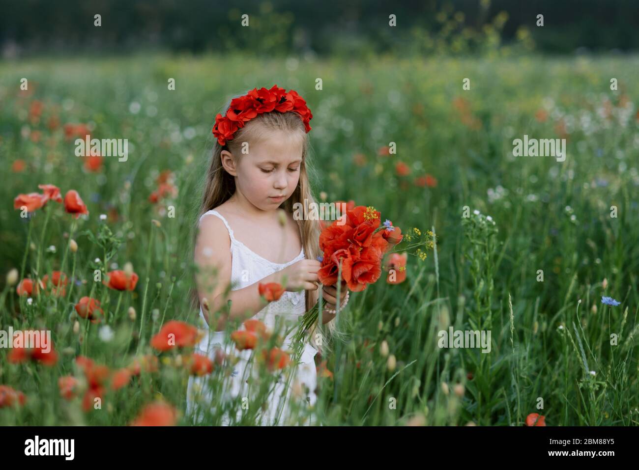 Ukrainian Beautiful girl in poppies field and wheat. outdoor portrait ...