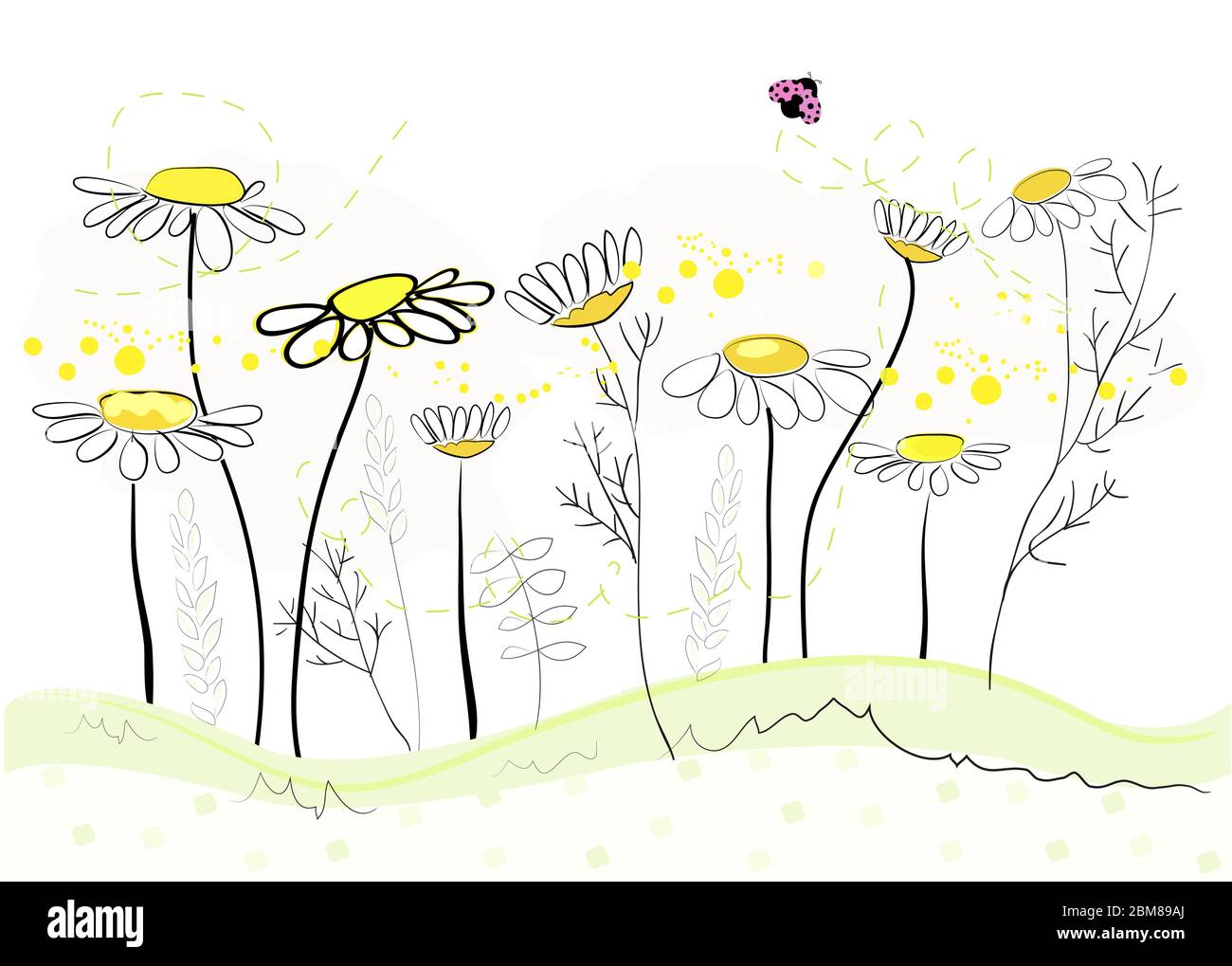 Daisy spring flowers background. Floral abstract background. Vector ...