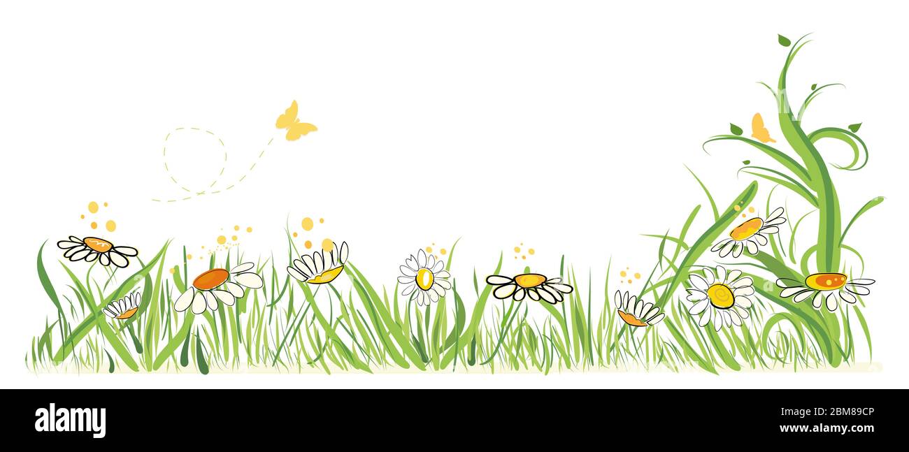 Daisy field in spring time vector illustration Stock Vector Image & Art ...