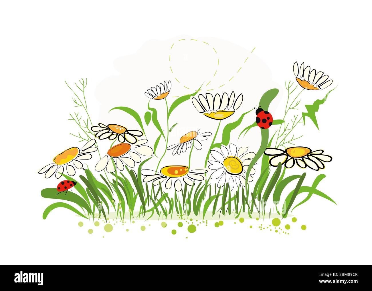 Daisy flower doodle spring background vector illustration Stock Vector ...