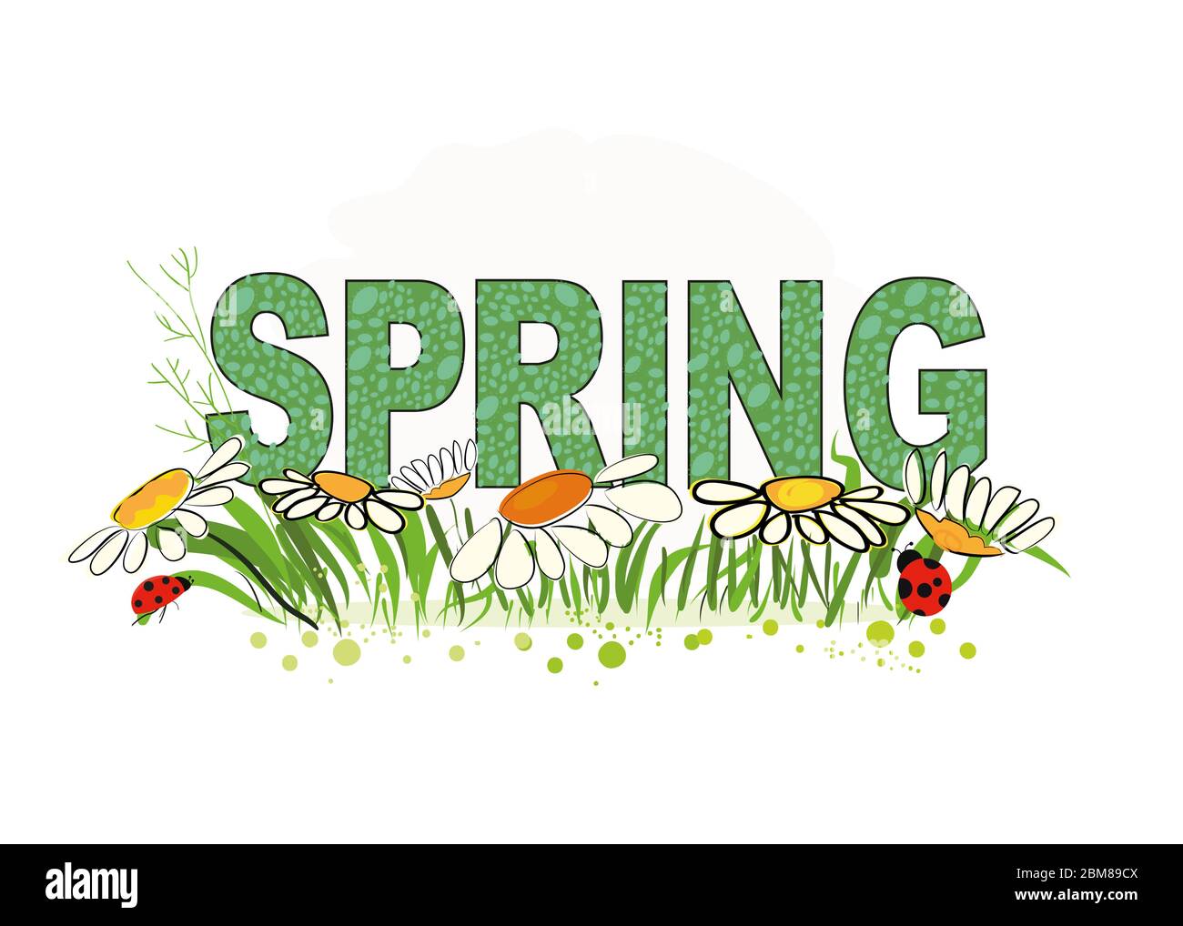Spring floral background with spring Letters and daisy flower Stock ...
