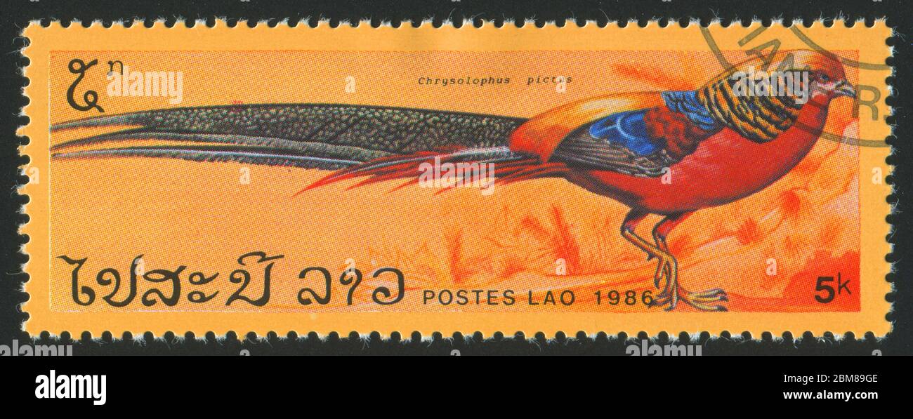 LAOS - CIRCA 1986: stamp printed by Laos, shows bird pheasant, circa ...