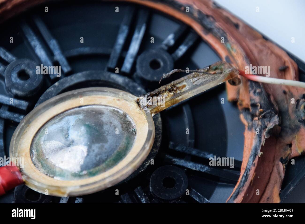 Speaker repair, disassembled speaker. High-frequency speaker 6GDV-7-16 ...