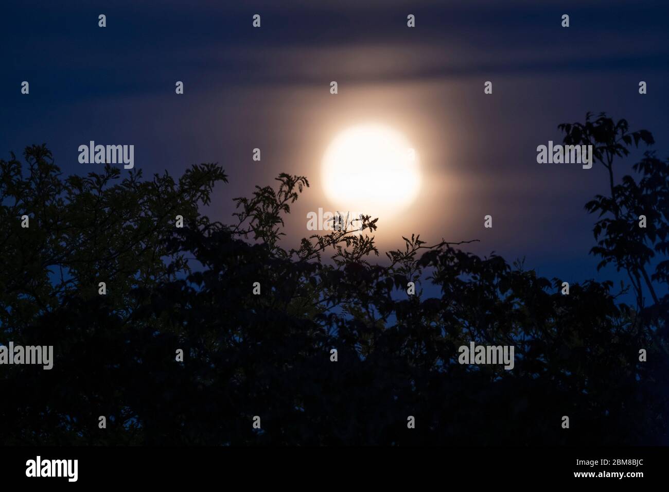 Moonrise behind hazy cloud hi-res stock photography and images - Alamy