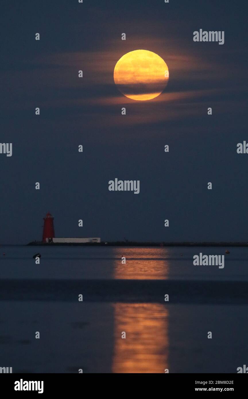 Signifying the flowers that bloom during the month hi-res stock ...