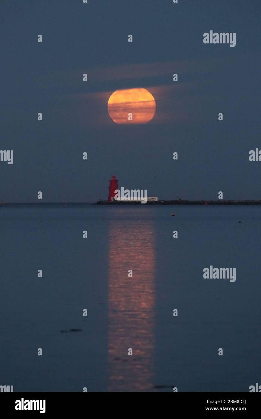 Signifying the flowers that bloom during the month hi-res stock ...