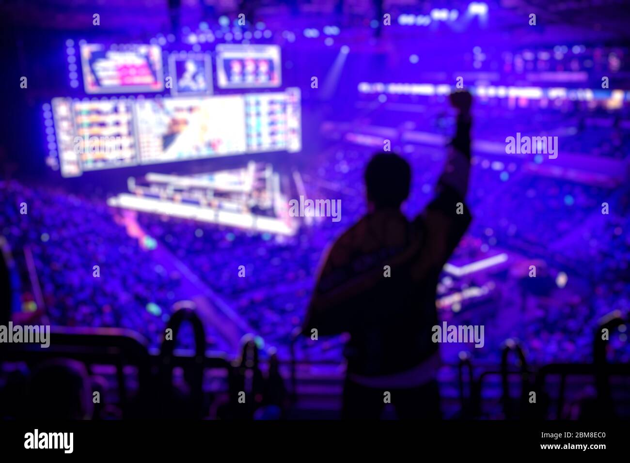 Blurred background of an esports event - Fan on a tribune at tournament ...