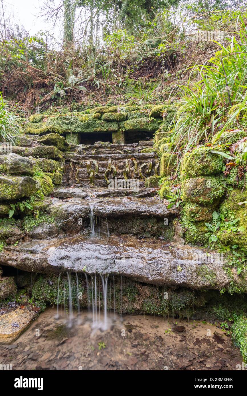 Ninesprings park in yeovil hi-res stock photography and images - Alamy