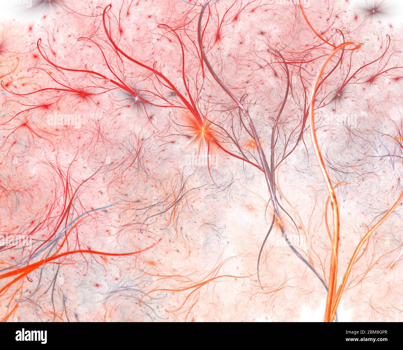 Underwater elements: algae seaweed, corals, beautiful marine plants ...