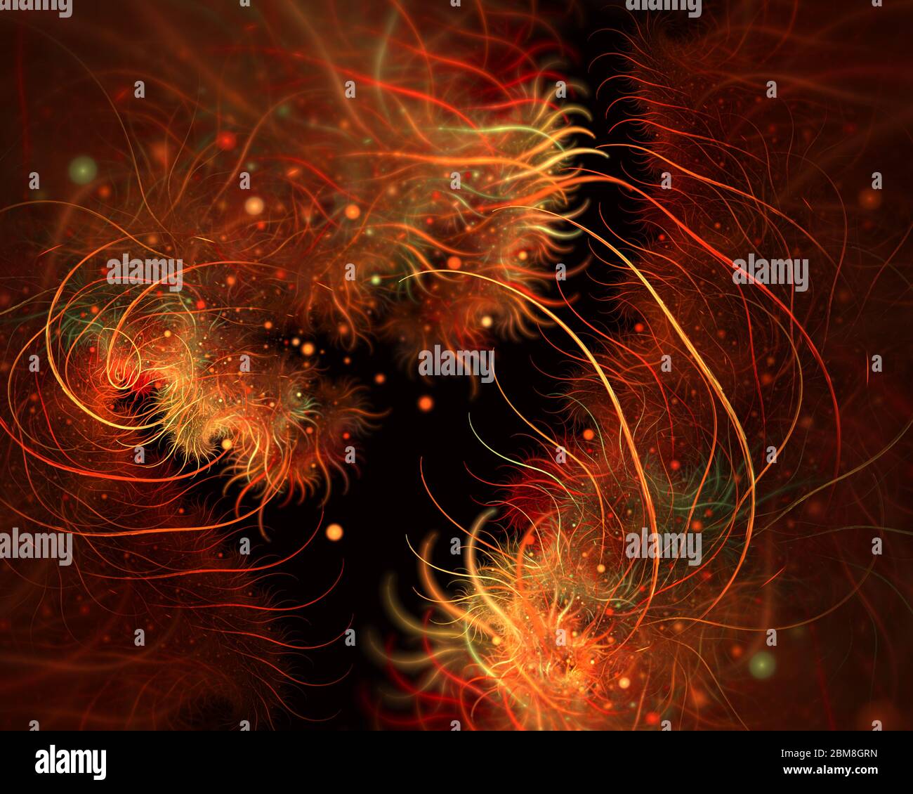Underwater elements: algae seaweed, corals, beautiful marine plants ...