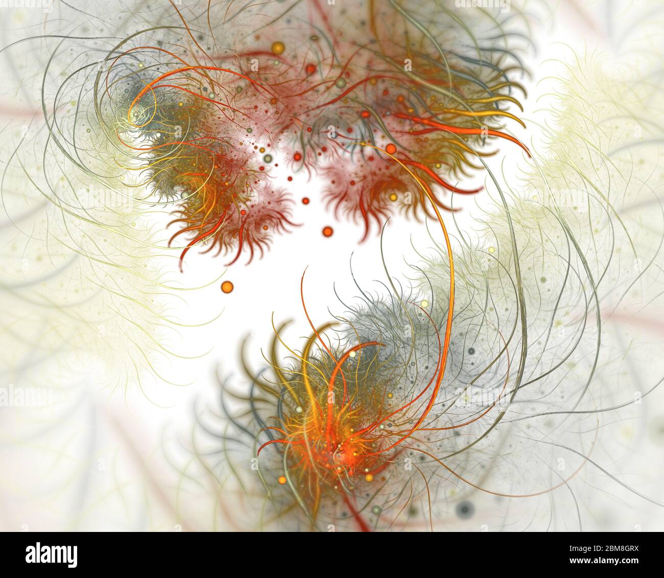 Underwater elements: algae seaweed, corals, beautiful marine plants ...