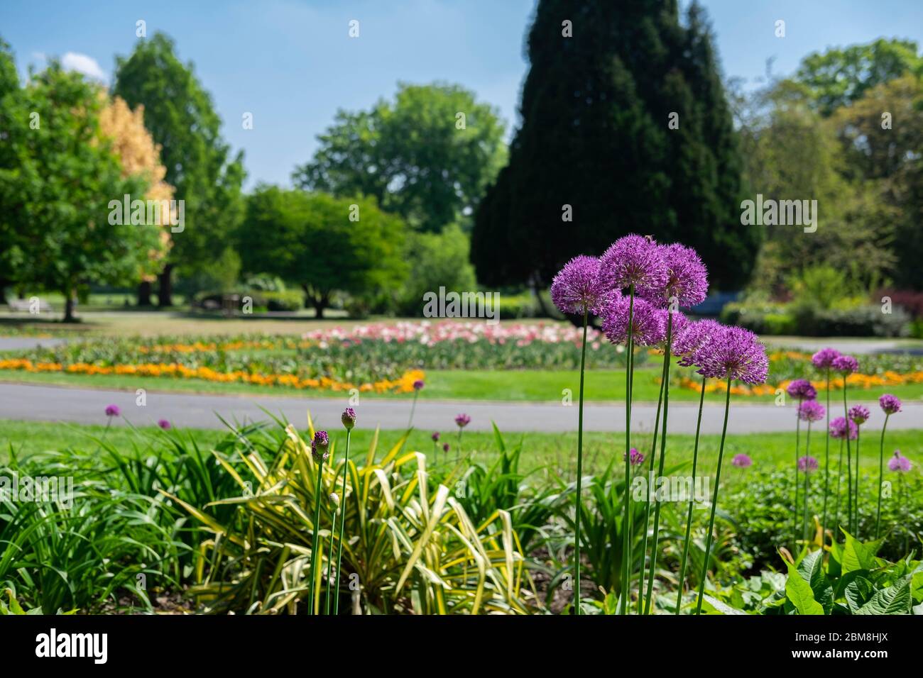 Warwick Park High Resolution Stock Photography and Images - Alamy