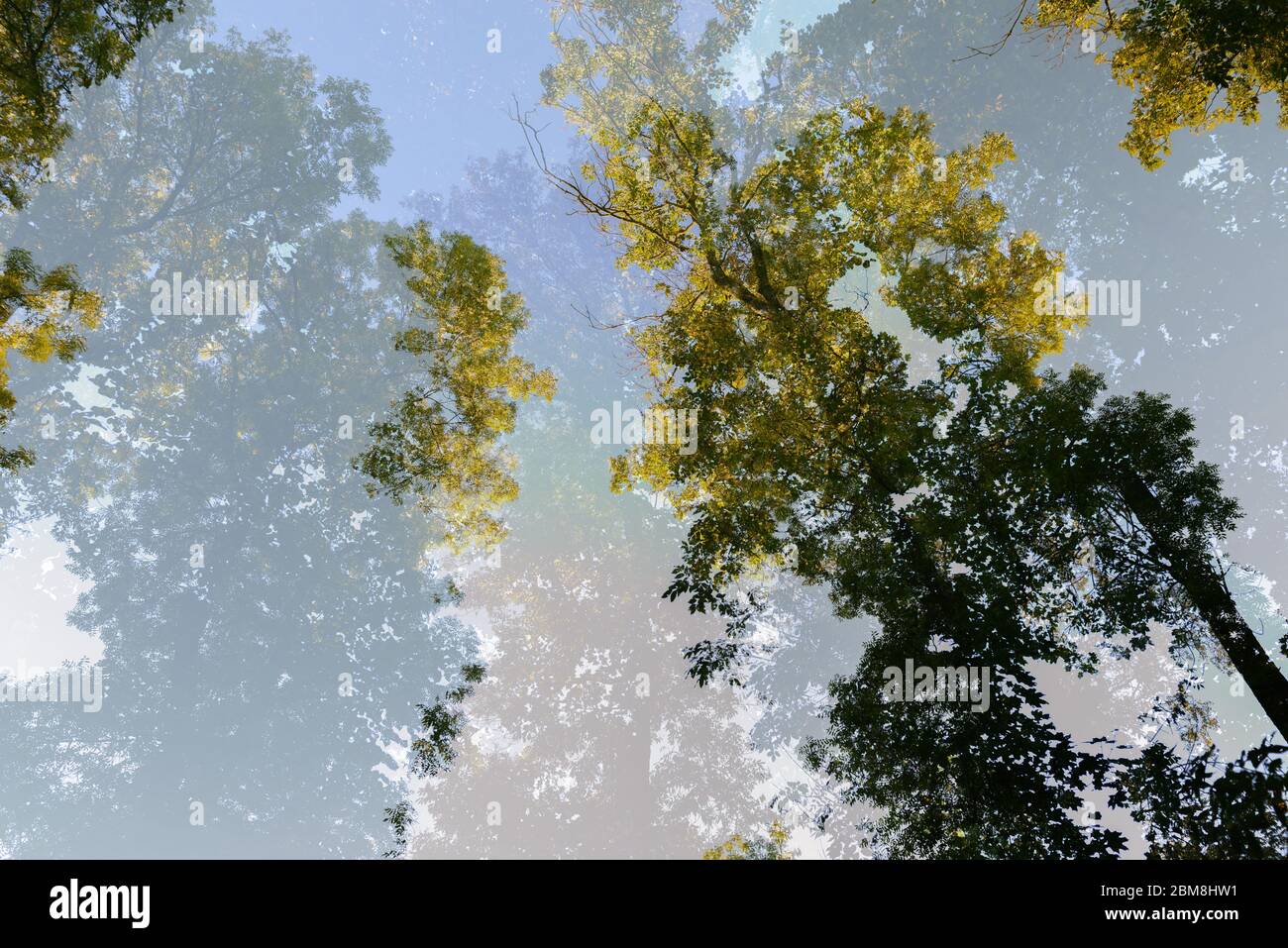 Overlaying hi-res stock photography and images - Alamy