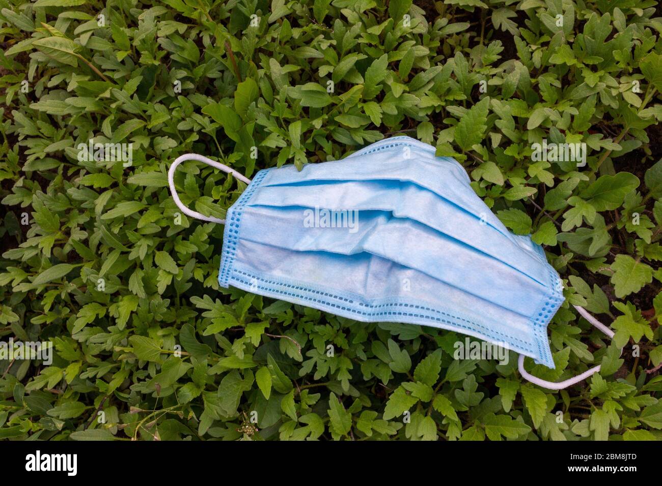 Discarded face mask used to protect the spread of coronavirus lying on ...