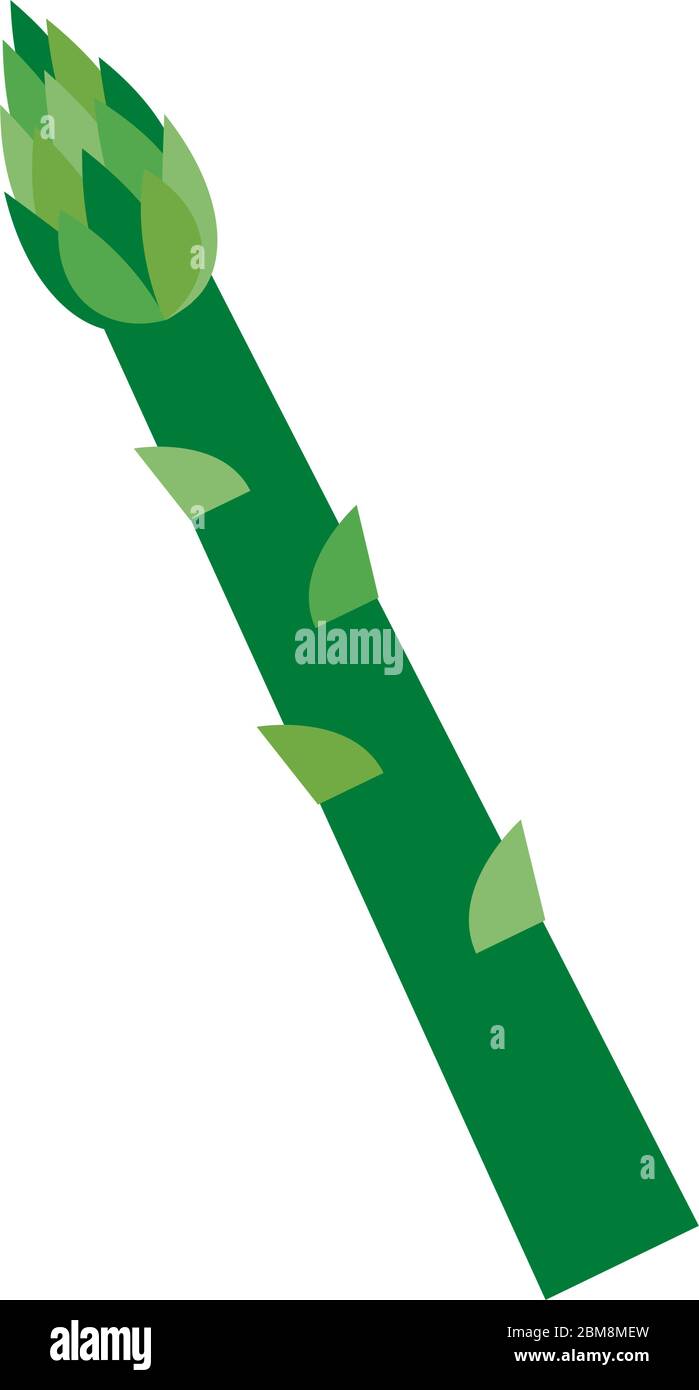 Green vegetable asparagus food Stock Vector Images - Alamy