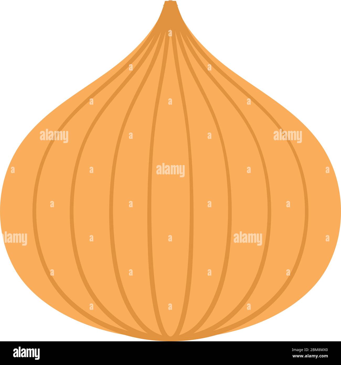 Isolated onion icon Stock Vector Image & Art - Alamy