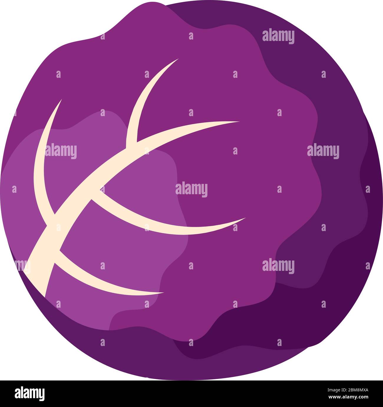 Isolated purple cabbage icon Stock Vector Image & Art - Alamy