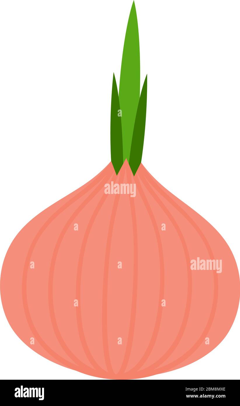 Onion symbol Stock Vector Images - Alamy