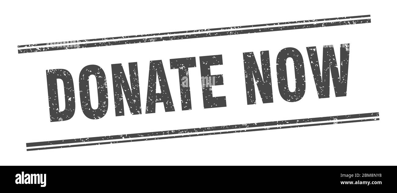 donate now stamp. donate now label. square grunge sign Stock Vector ...