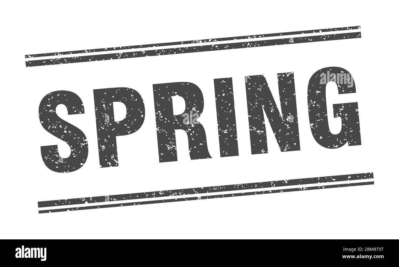 spring stamp. spring label. square grunge sign Stock Vector Image & Art ...