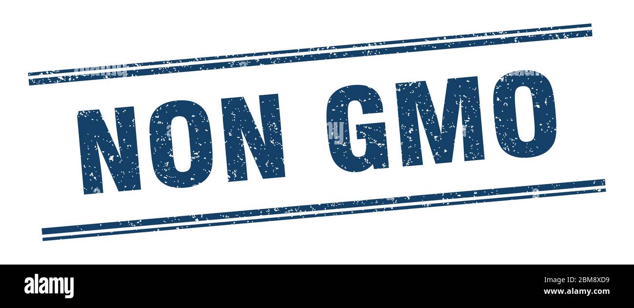 non gmo stamp. non gmo label. square grunge sign Stock Vector Image ...