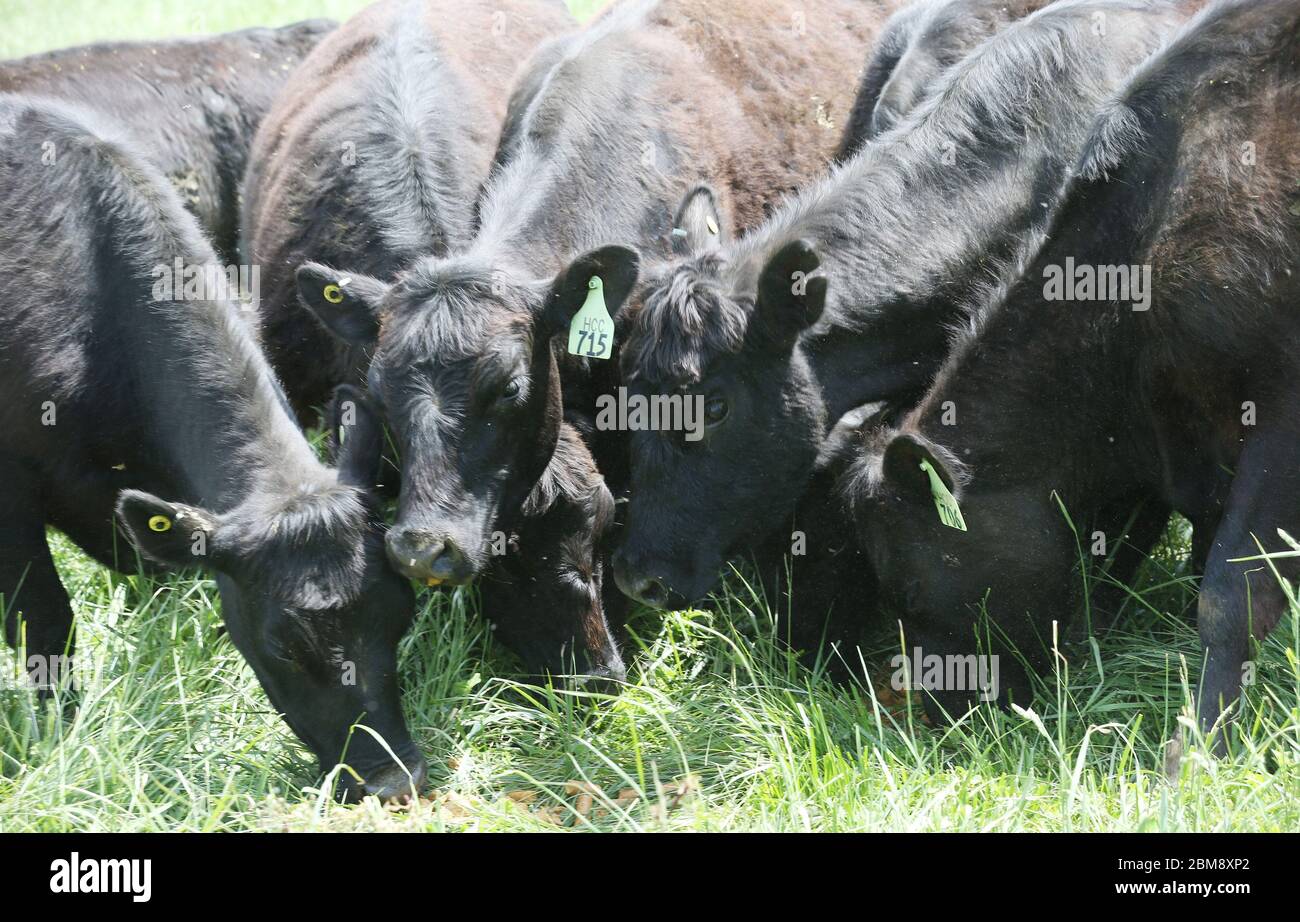 Position normal hi-res stock photography and images - Alamy