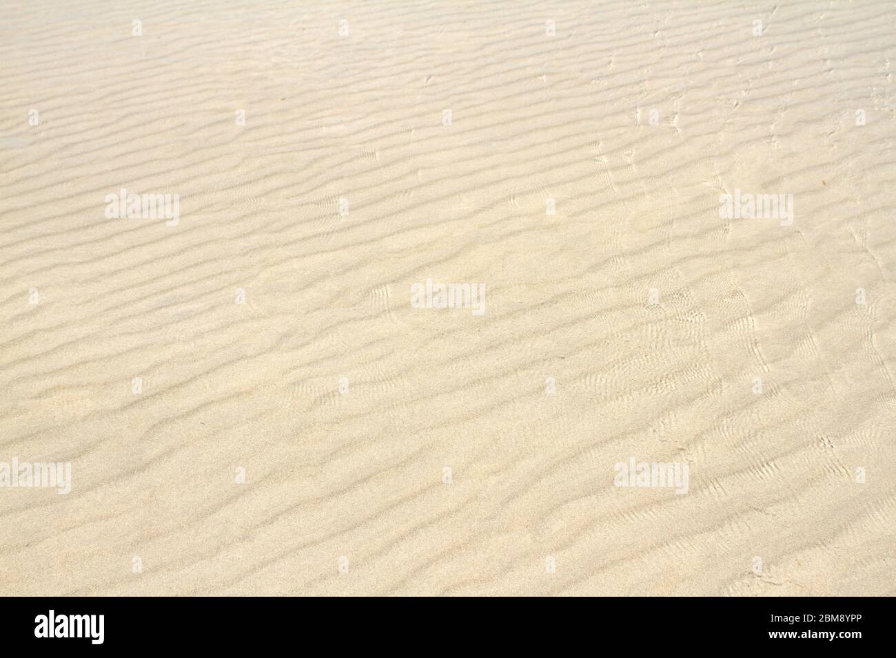 Underwater sand ripple hi-res stock photography and images - Alamy
