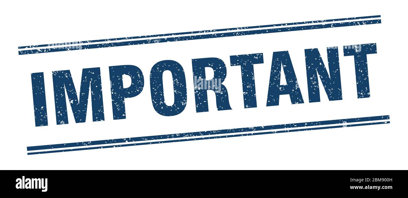 important stamp. important label. square grunge sign Stock Vector Image ...