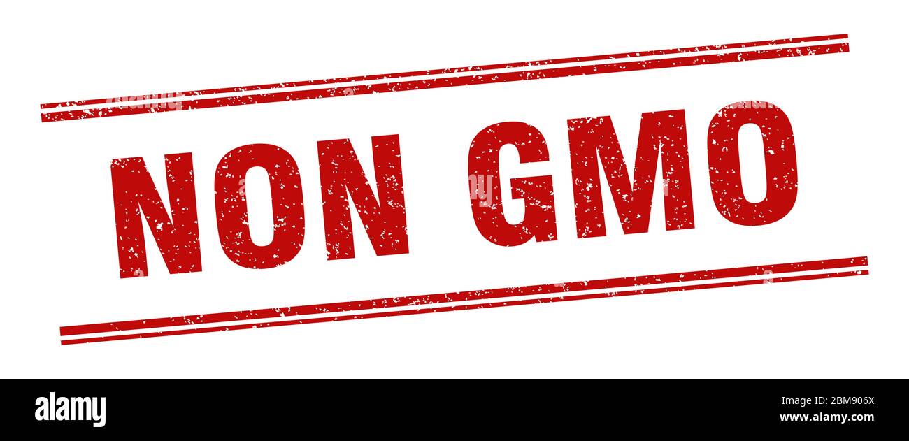 non gmo stamp. non gmo label. square grunge sign Stock Vector Image ...