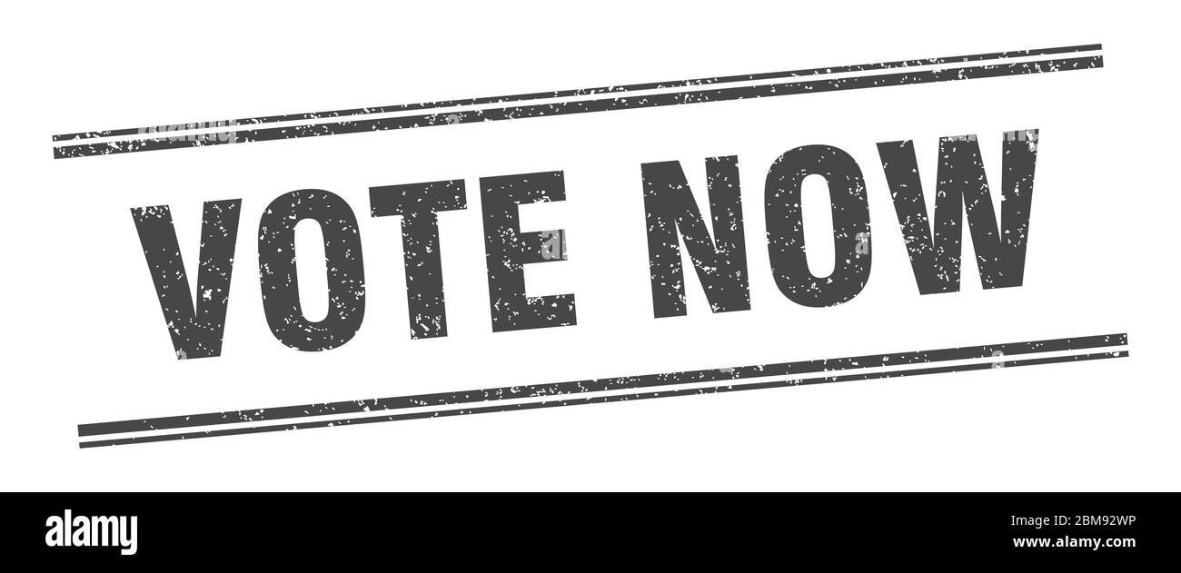 vote now stamp. vote now label. square grunge sign Stock Vector Image ...
