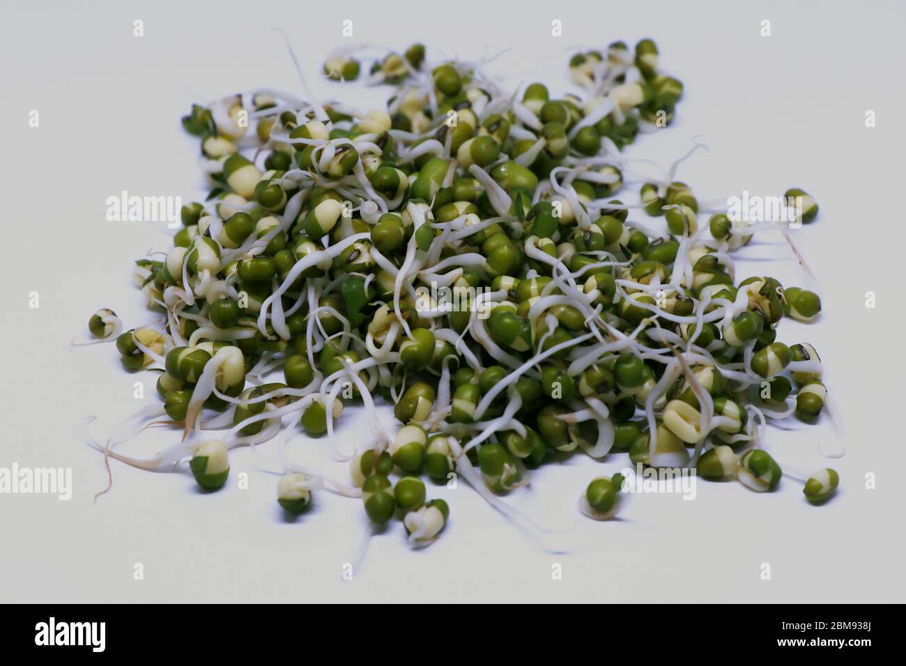 sprouted green gram isolated with white background Stock Photo - Alamy
